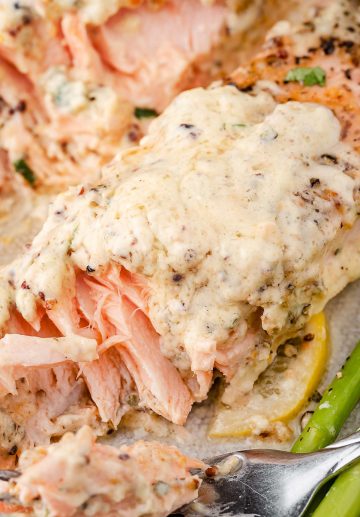 Baked Boursin Salmon - Chefjar