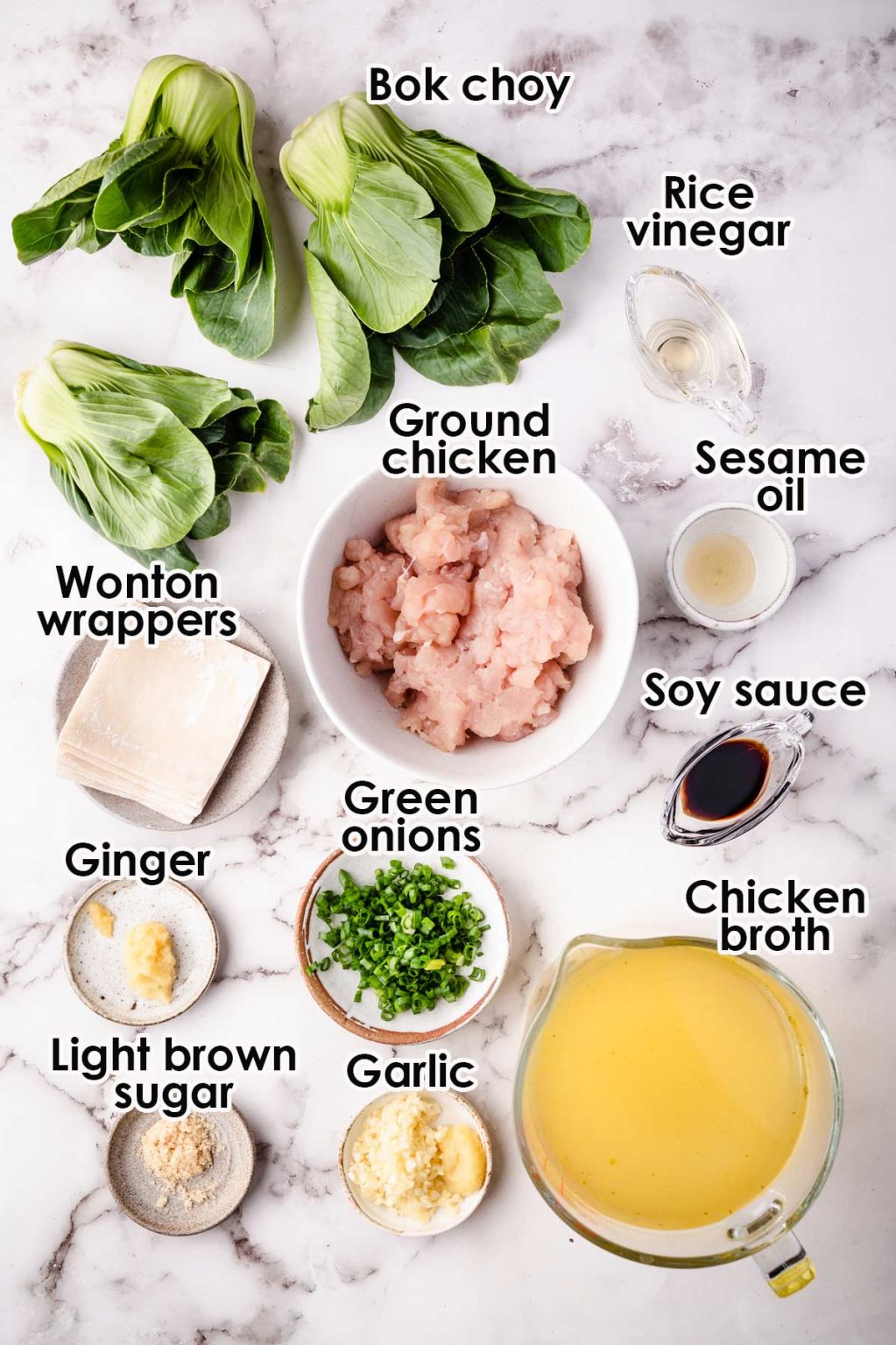 Chicken Wonton Soup - Chefjar